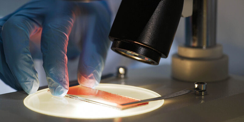Sobi and Sanofi granted priority review by the FDA - Nordic Life ...